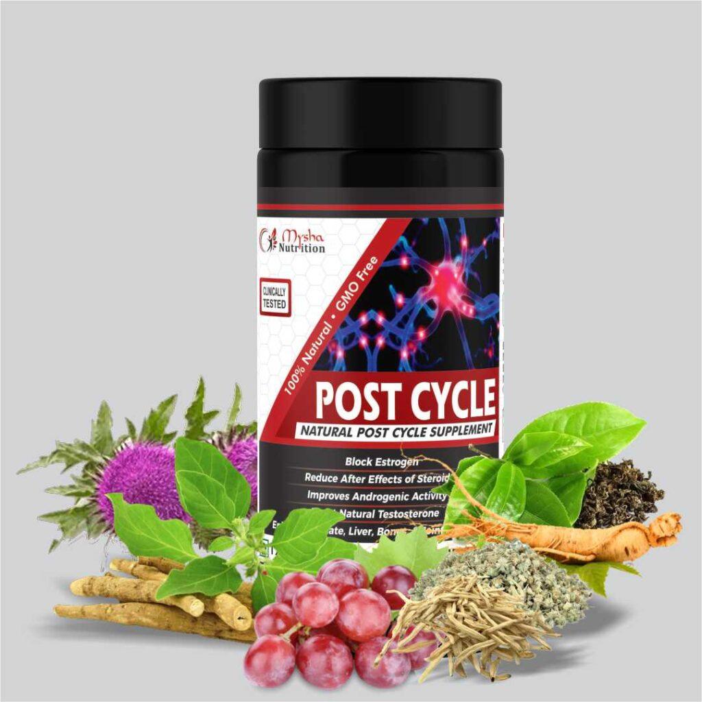 Mysha Nutrition Post Cycle (120 Capsules) – Mysha Health World